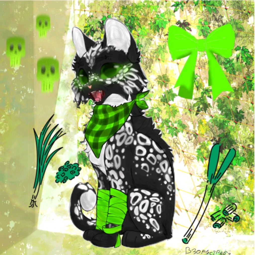 Иконка канала ☘️🍀ꃃ꒱ꏿꉣ ꋪꊐꉢꉣꂅꃥꁲ🍀☘️