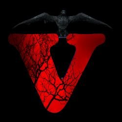 Иконка канала VoronTV