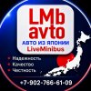 Иконка канала АВТО-ЯПОНИЯ (LiveMinibus)
