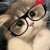 Иконка канала Avatar_Ksenia