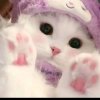 Иконка канала ♡🍪Печенька🍪♡