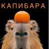 Иконка канала Эстофет