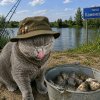 Иконка канала Релакс 13