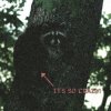 Иконка канала WILD_RACCOON