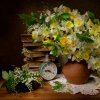 Иконка канала Кому за 50