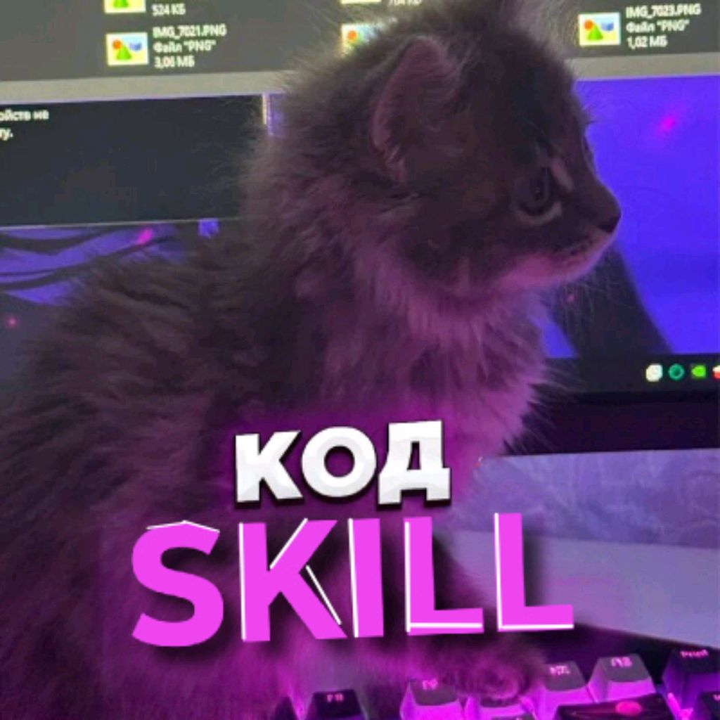 Иконка канала SKILL
