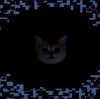 Иконка канала ༒︎•꧁🫪Котик24к🫪꧂•༒︎