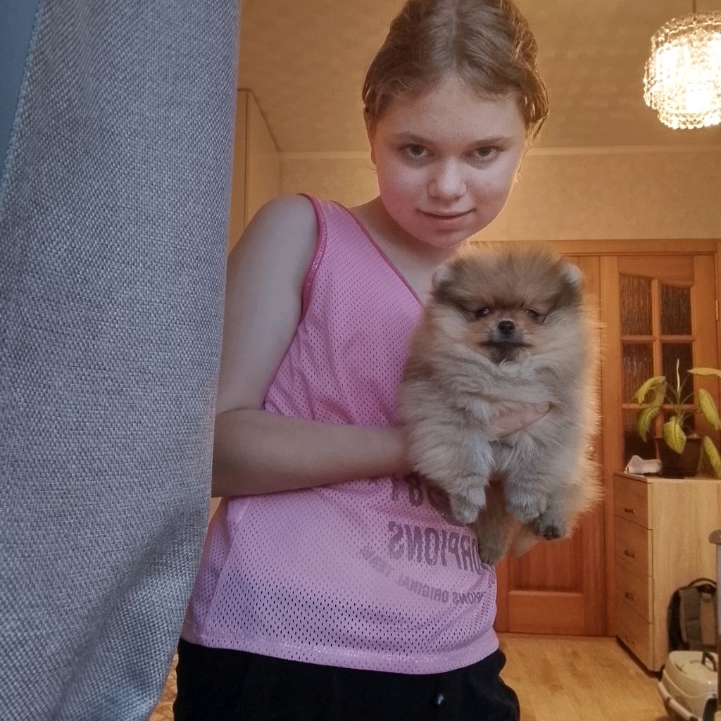 Иконка канала Шпиц Чери❤️