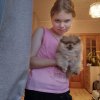 Иконка канала Шпиц Чери❤️