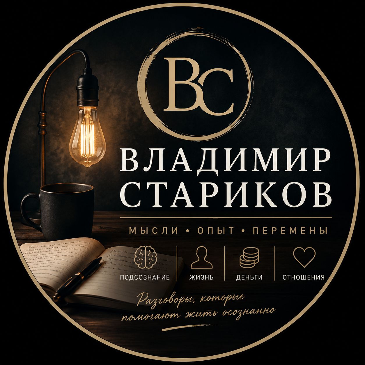 Иконка канала Владимир Стариков