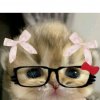 Иконка канала Ваша Катя💕=^._.^= ∫