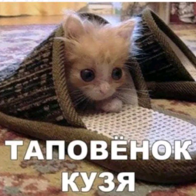 Иконка канала channel78101303