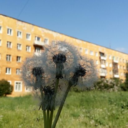Иконка канала Одуваны в деле
