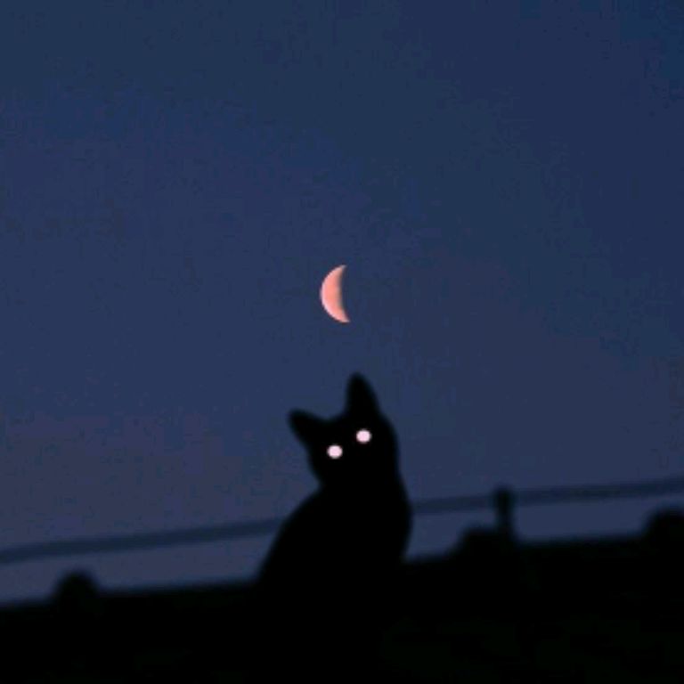 Иконка канала Лунная Сова🌙
