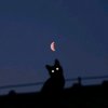 Иконка канала Лунная Сова🌙
