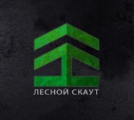 Иконка канала ЛЕСНОЙ СКАУТ | FOREST SCOUT