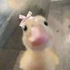 Иконка канала 🌟💫🐸Лигушка Юни 🐸✨