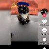 Иконка канала Макар Играет:)