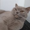 Иконка канала Муся и многое другое