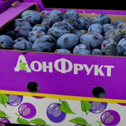 Иконка канала ДонФрукт