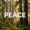 Иконка канала Peace