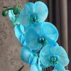 Иконка канала Zhanna Flower