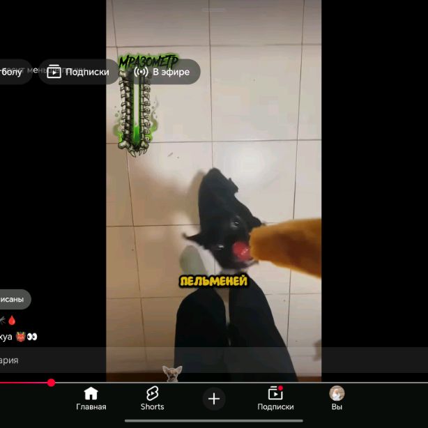 Иконка канала Ян Play
