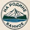 Иконка канала NaRodine Bannoe