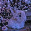 Иконка канала ˚*･༓☾ • Ф𝚊𝚗 Г𝚘𝚌п𝚘ж𝑢 𝙻𝚞𝚗𝚊𝚖𝚎 ☽༓･*˚слт