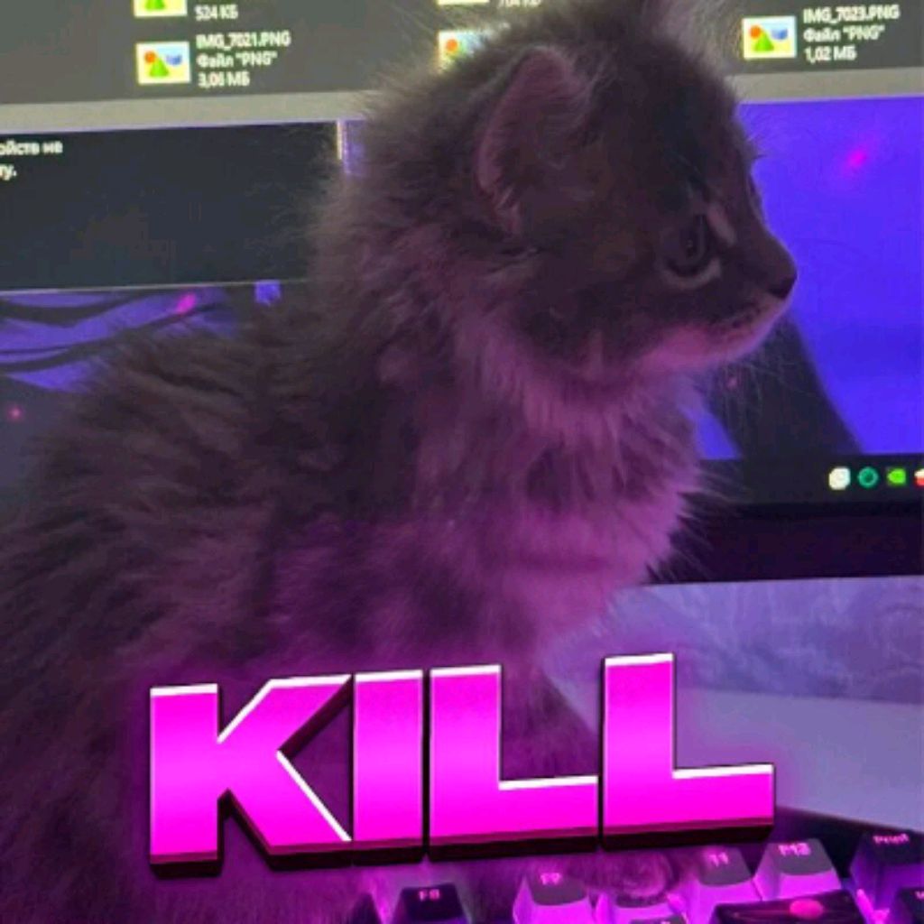 Иконка канала KILL