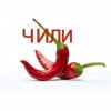 Иконка канала Чили