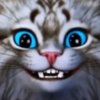 Иконка канала Котёнок Искринка