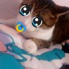 Иконка канала Раку чан / Raku Chan