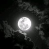 Иконка канала 🥀~MISS_MOON~🌙