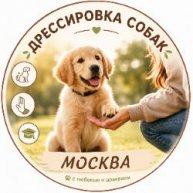 Иконка канала mdog - Дрессировка собак · Москва