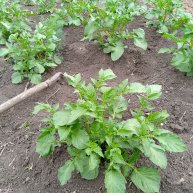 Иконка канала ВЫЛАЗКИ на УЧАСТОК
