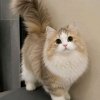 Иконка канала МЯ мЯ