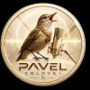 Иконка канала Pavel_solovei