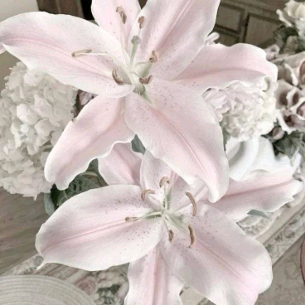 Иконка канала ☆ᴀньюᴄ.ᴛᴜʀ🌴