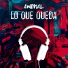 Иконка канала ANIMAL MUSIC