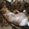 Иконка канала всё по немногу