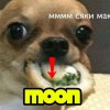 Иконка канала moon