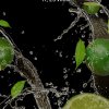 Иконка канала !¡🍉 Еся 🍉!¡