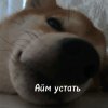 Иконка канала РОмАшкА/ЛЕГАت