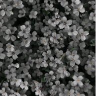 Иконка канала ✨ВДОХНОВЕНИЕ 🕊️