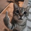 Иконка канала channel79608497