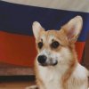 Иконка канала Богдан72D