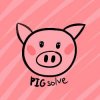 Иконка канала PIGsolve
