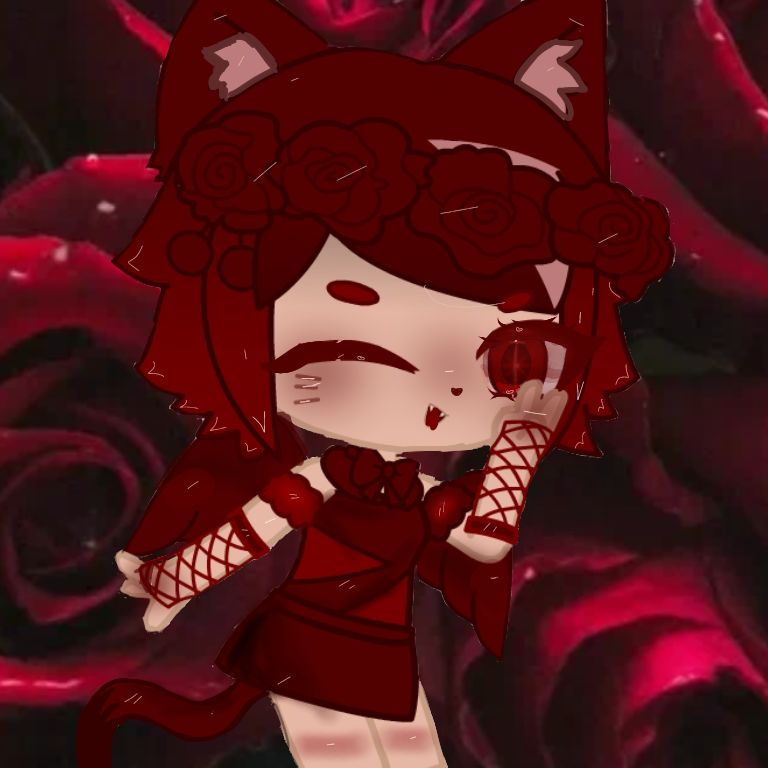 Иконка канала 🌹😺Koshka_Mira 😺🌹