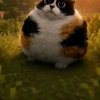 Иконка канала Котость